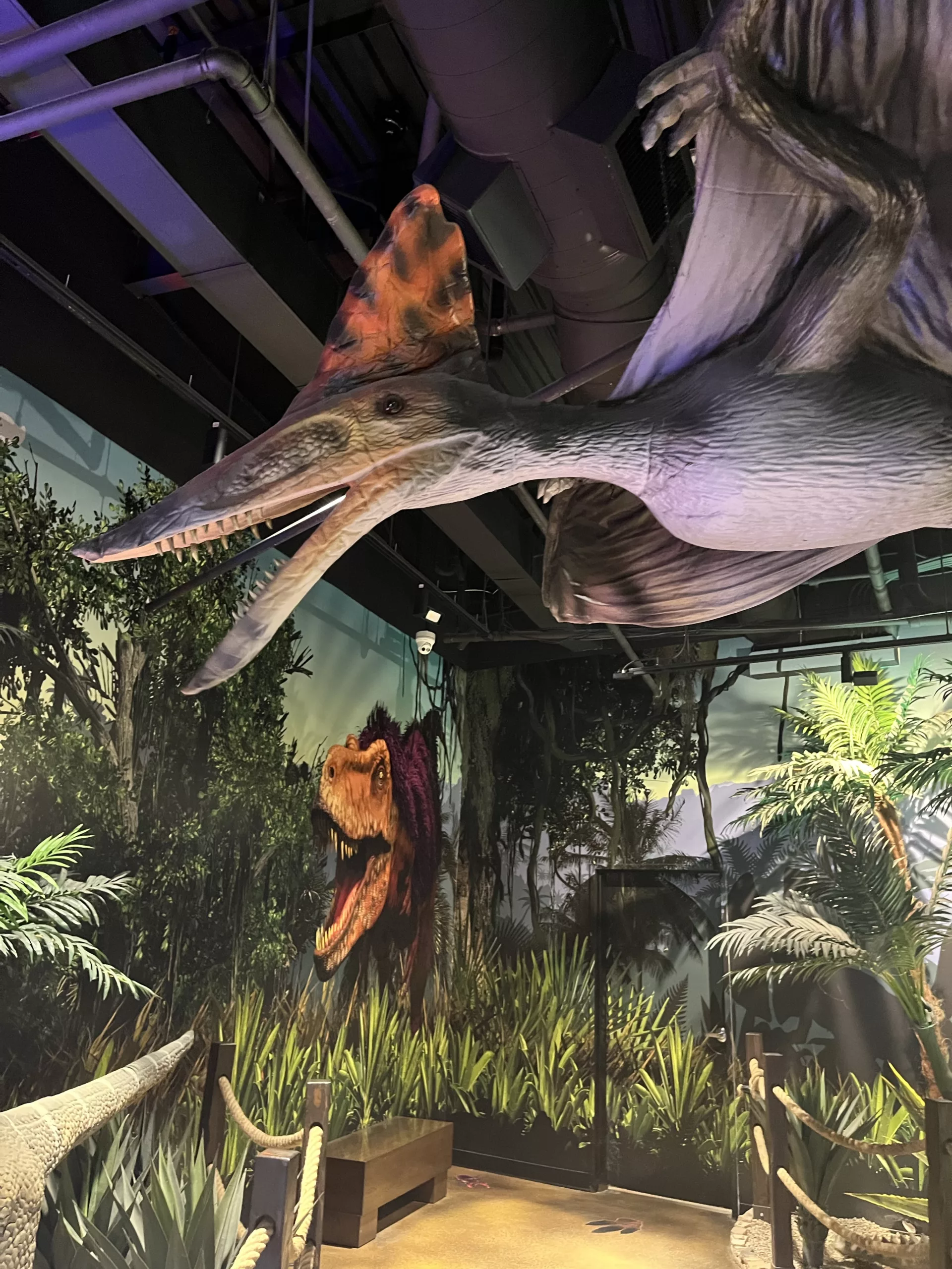 Pangea Dinosaur Museum: A Must-Visit Destination in Phoenix – MiAmorCheri